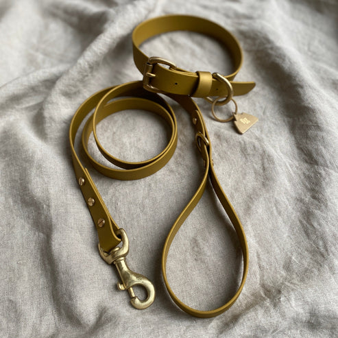 Gold BioThane® Collar – Franks Goods